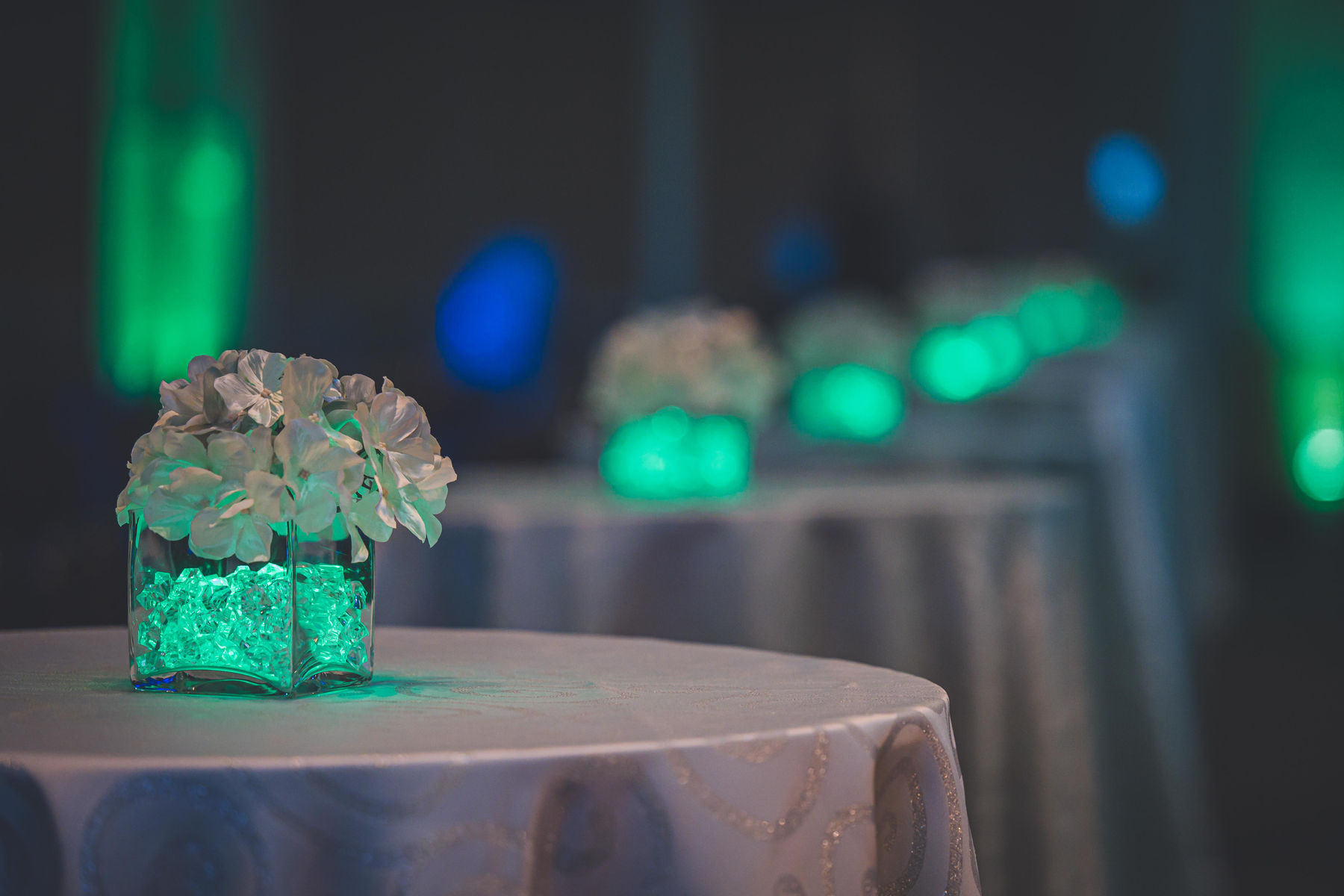 Host & Steering Committees – CSU|LAW Hall of Fame